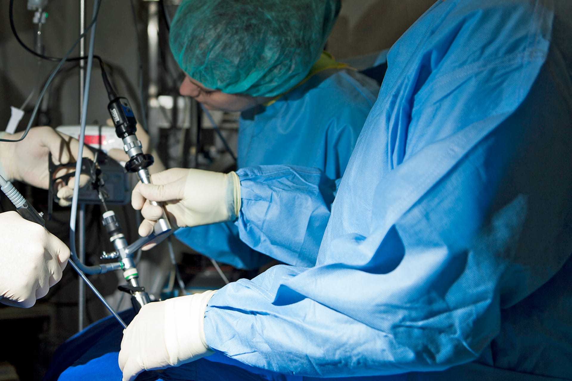 Kastration - Tierarzt Wien West